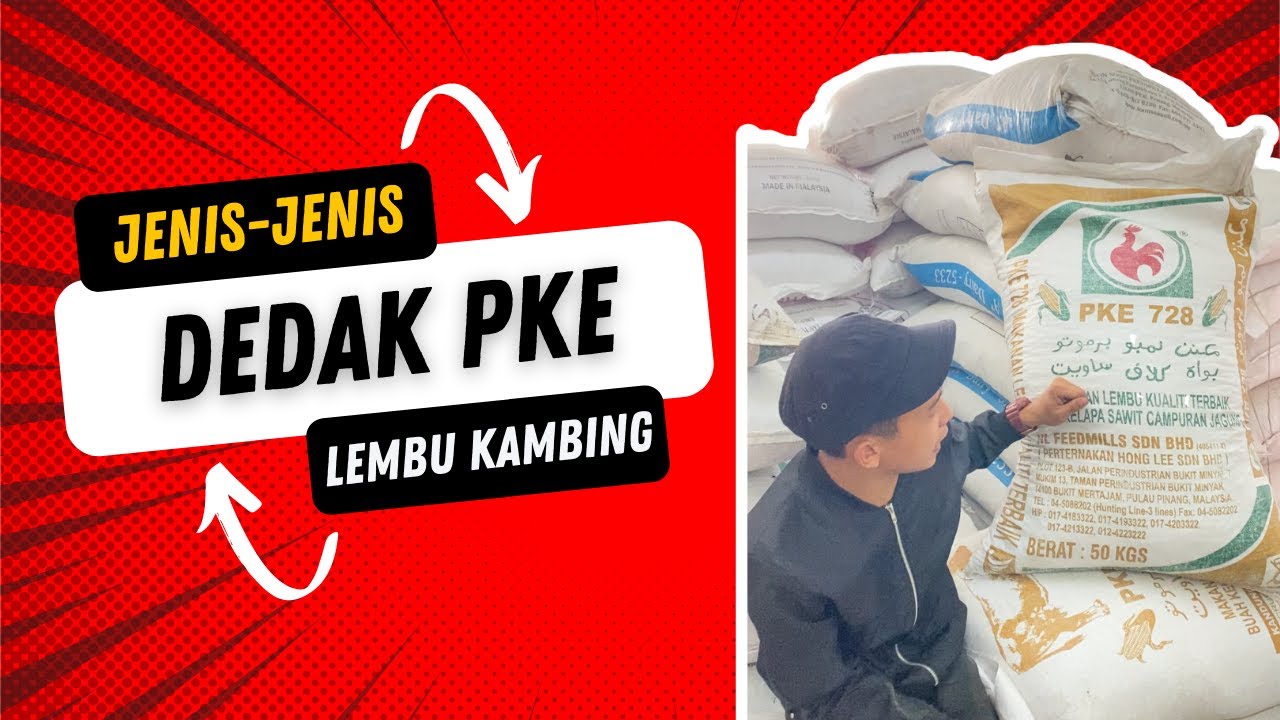 Jenis-jenis dedak PKE | Lembu | Kambing - YouTube