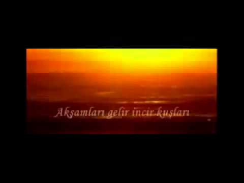 Mona Rosa -  Sacit Onan Yorumuyla....mpg