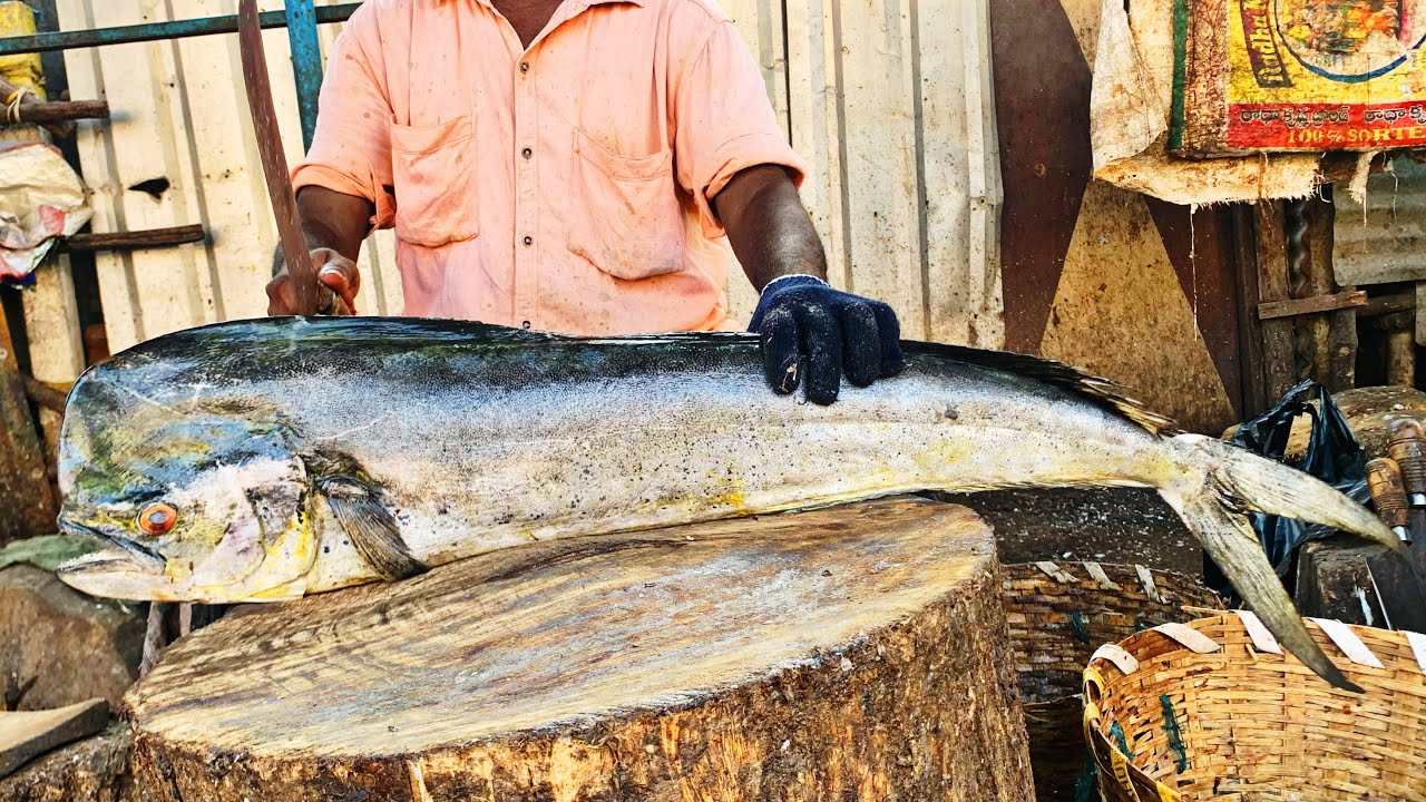MAHI MAHI FISH🔪KASIMEDU FISH CUTTING🔪 - YouTube