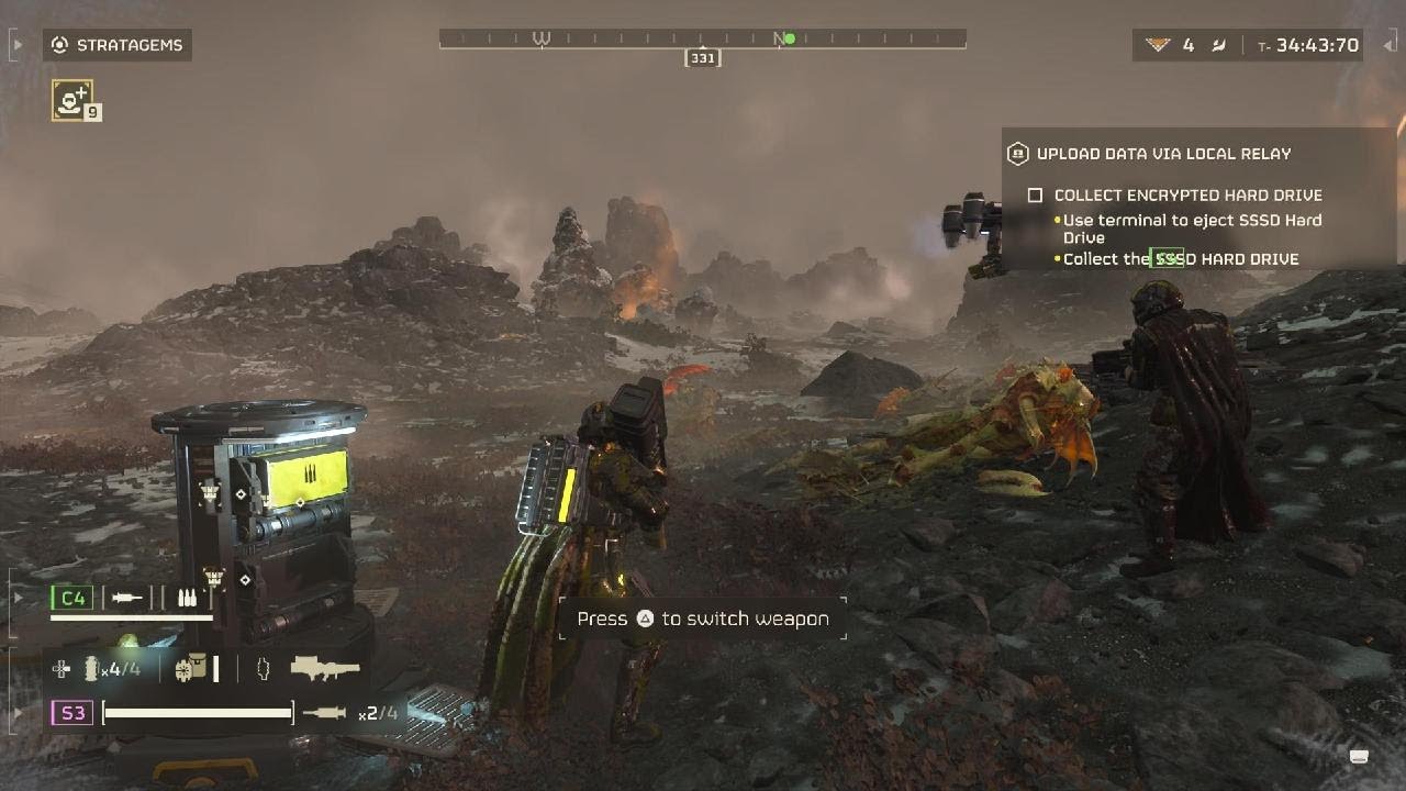 Possible new species of termanid sighting - YouTube