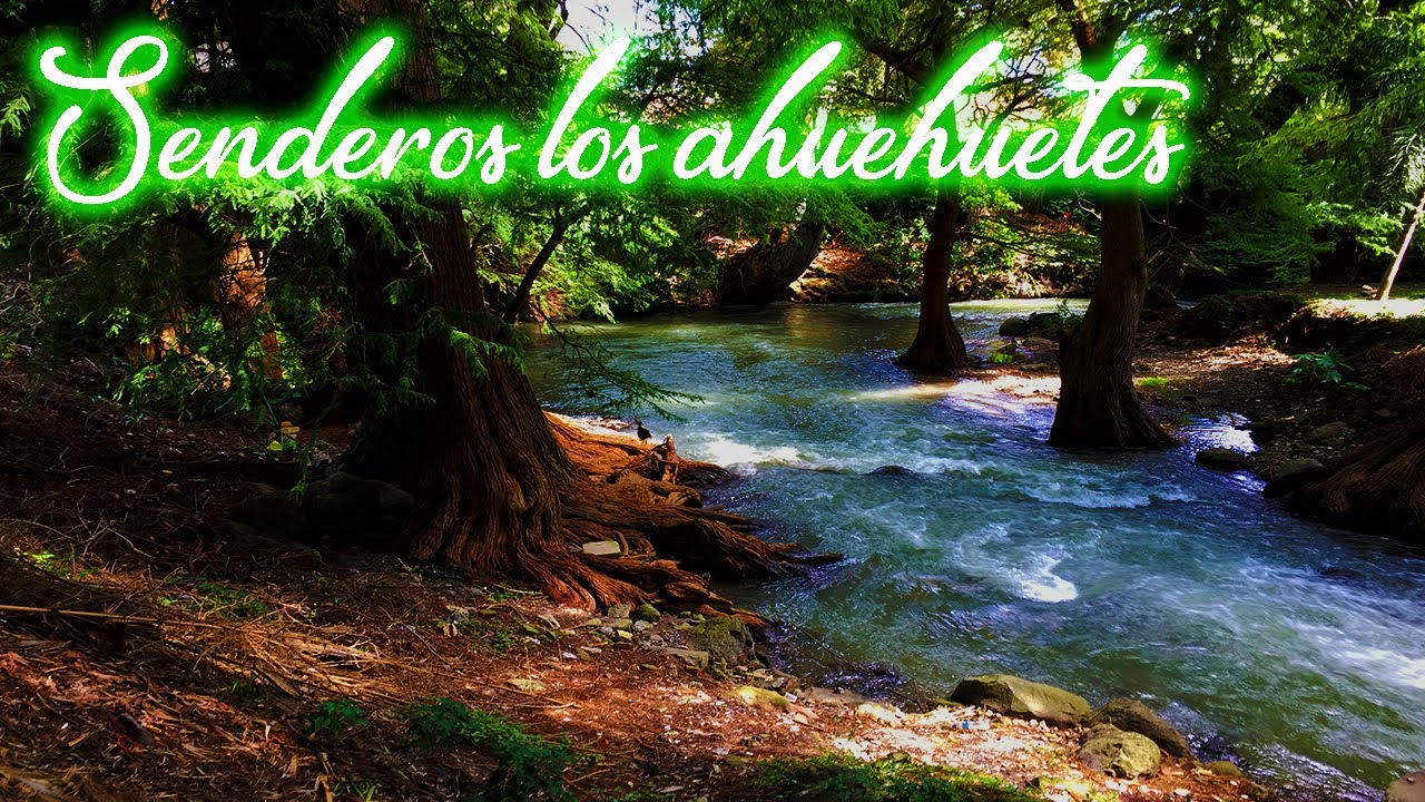 los ahuehuetes paseo sobre la ciudad de mendoza #veracruz #fortin # ...