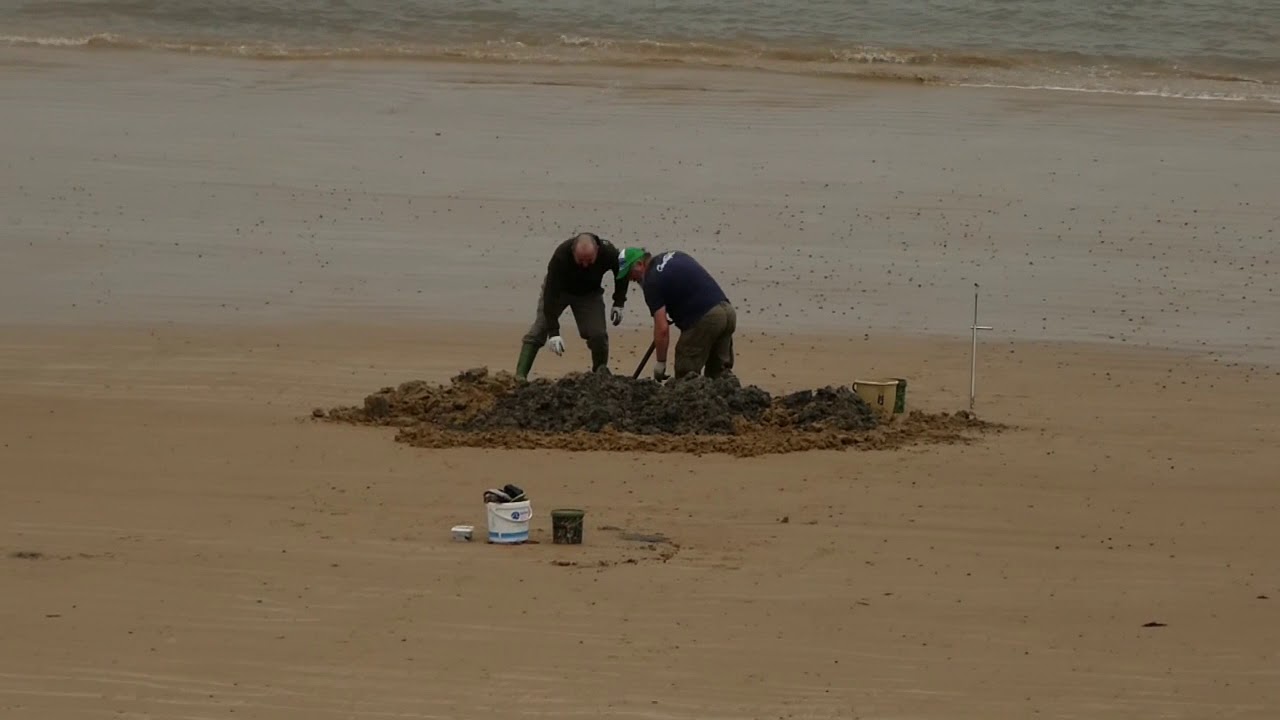 Digging Lugworm Sheringham 19 Sept 2017 - YouTube