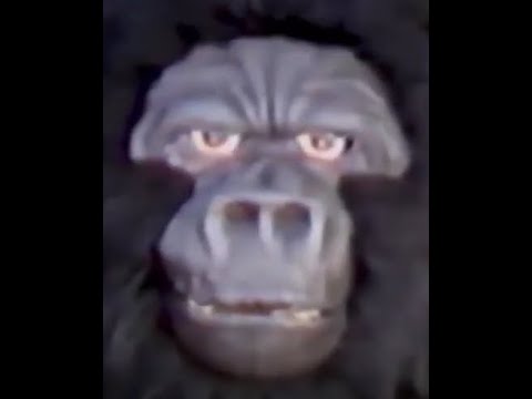 Bubba the 7ft tall animatronic gorilla (show enhanced) - YouTube