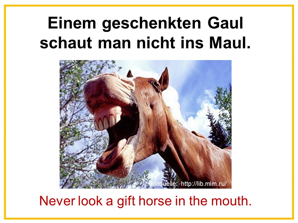 Diese Sprichwörter musst du kennen (A1-...) - YouTube