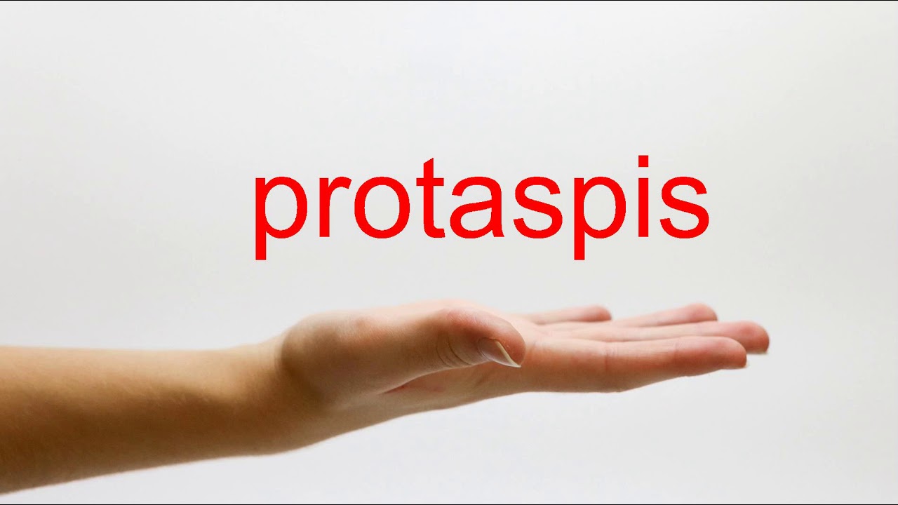 How to Pronounce protaspis - American English - YouTube