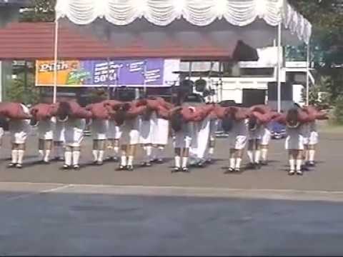 SMP 134 - VCD 55