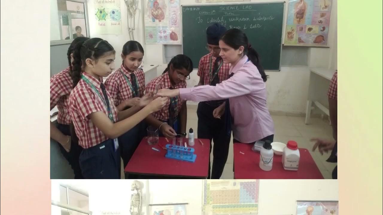 Science lab Activity - YouTube