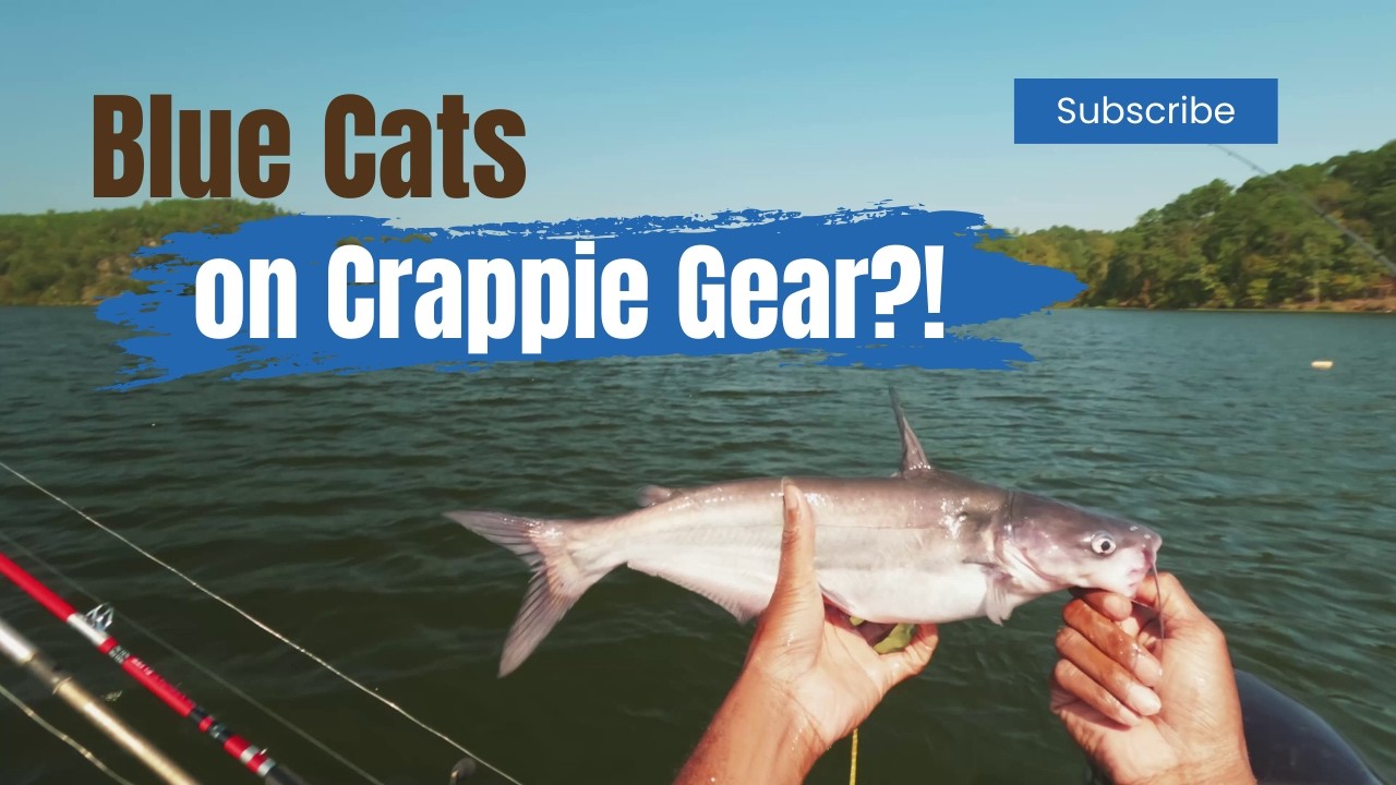 Catching a Blue Catfish on Crappie Gear | Black Warrior River Fishing ...