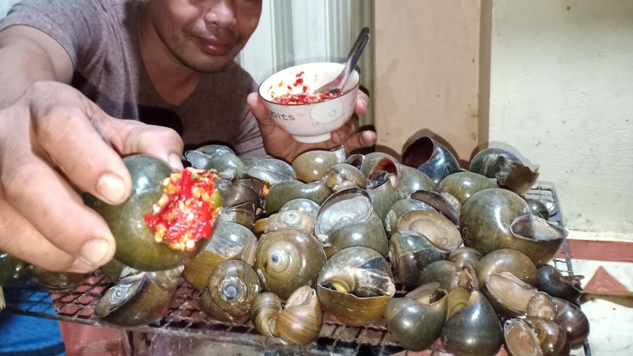 wow yummy Grilled snails delicious I like to eat - YouTube