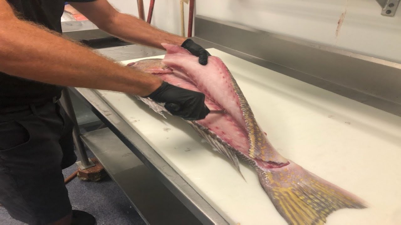 Now these are some beauties! Blue Star Seafood. Fort Myers, Florida. 09 ...