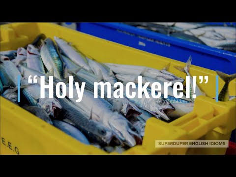 "Holy Mackerel" Idiom Meaning, Origin & History | Superduper English ...