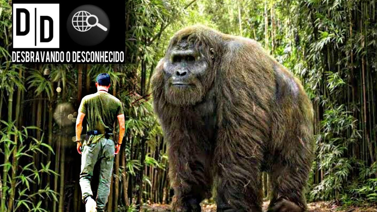 Conheça o verdadeiro king kong gigantopithecus - Desbravando o ...
