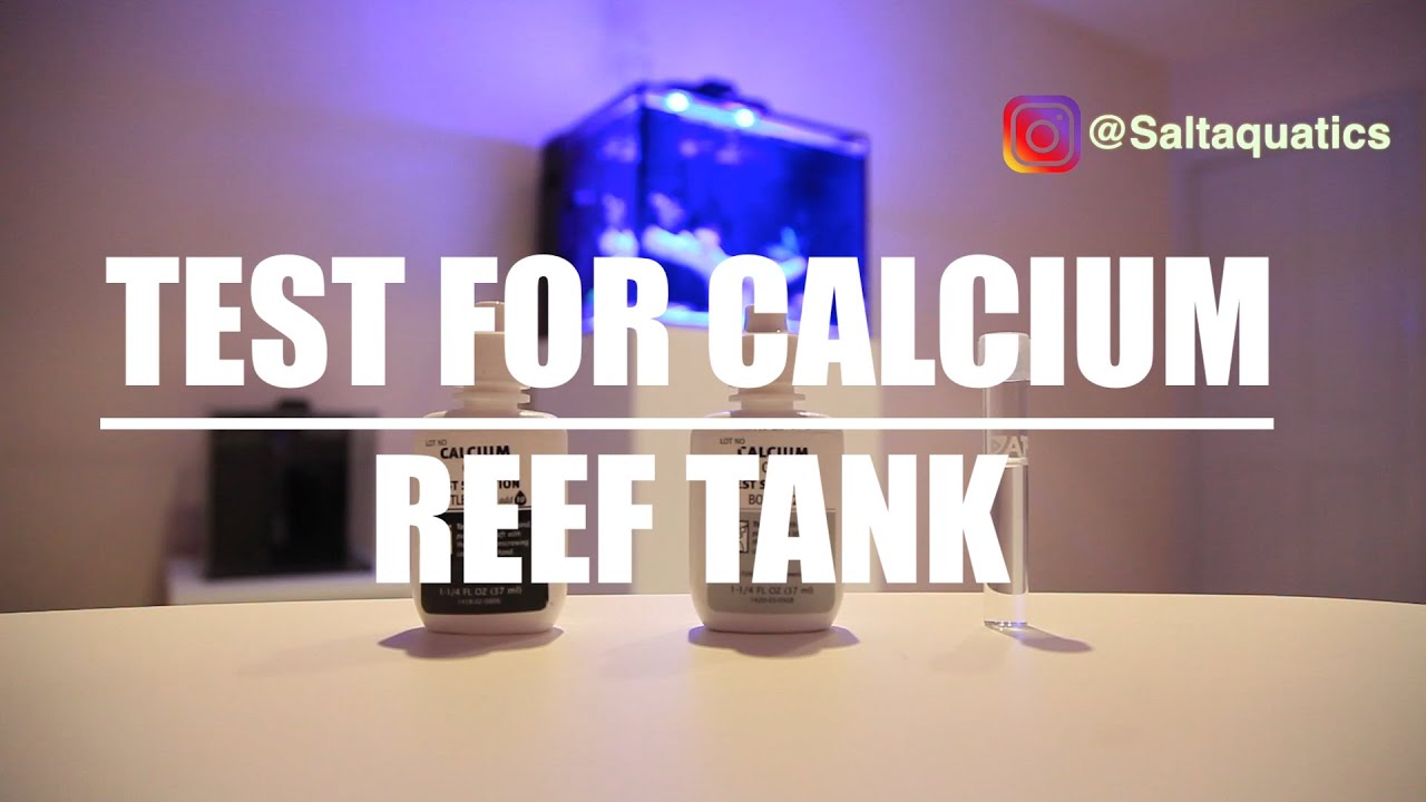 How To check Calcium level with API test kit - YouTube