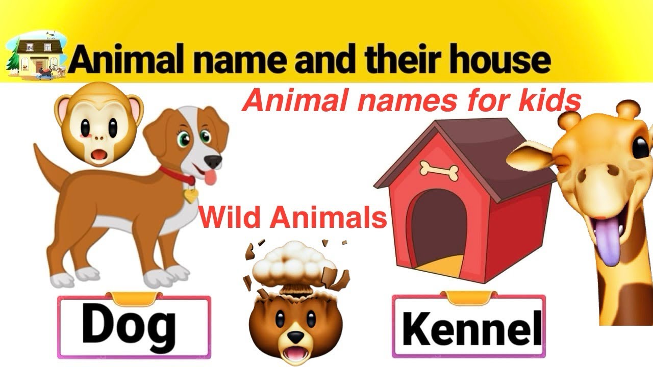 Animals and their homes | Animals home | Home of animals | Animal homes ...
