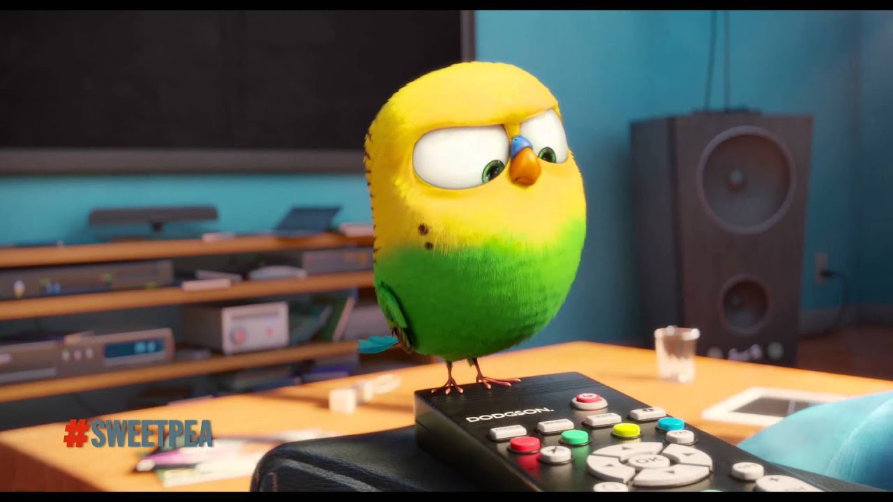 The Secret Life Of Pets - Sweetpea - YouTube