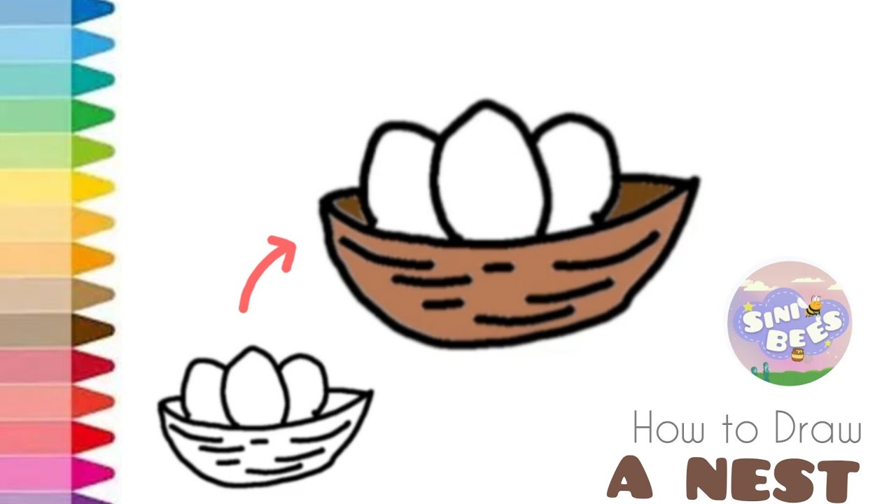 How to draw a bird's nest | easy step by step for kids | Sinibees - YouTube