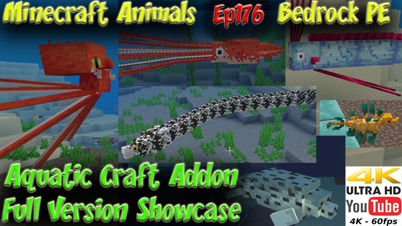 Aquatic Craft Addon Full Version Showcase Download BedrockPE Minecraft Animals Ep176 - YouTube