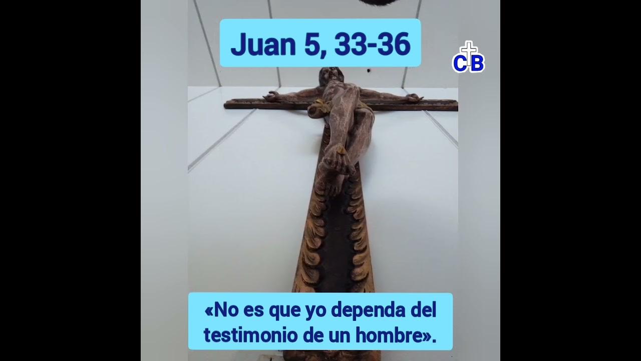 evangelio-del-dia-viernes-16-de-diciembre-de-2022-juan-5-33-36-youtube