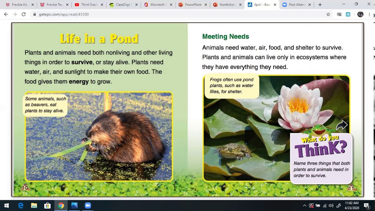 ELA Week 2 Day 4 (4/30/2020) Nonfiction Standards-Ponds - YouTube