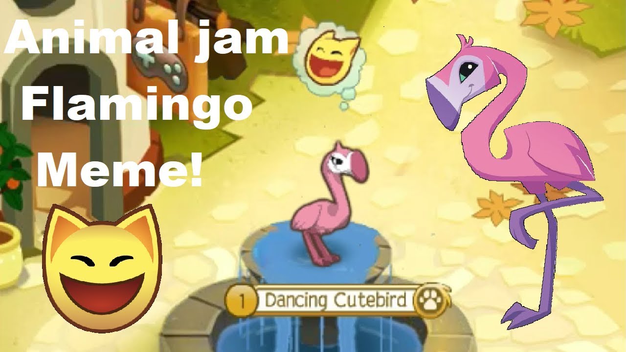 Animal jam: Flamingo Meme! - YouTube