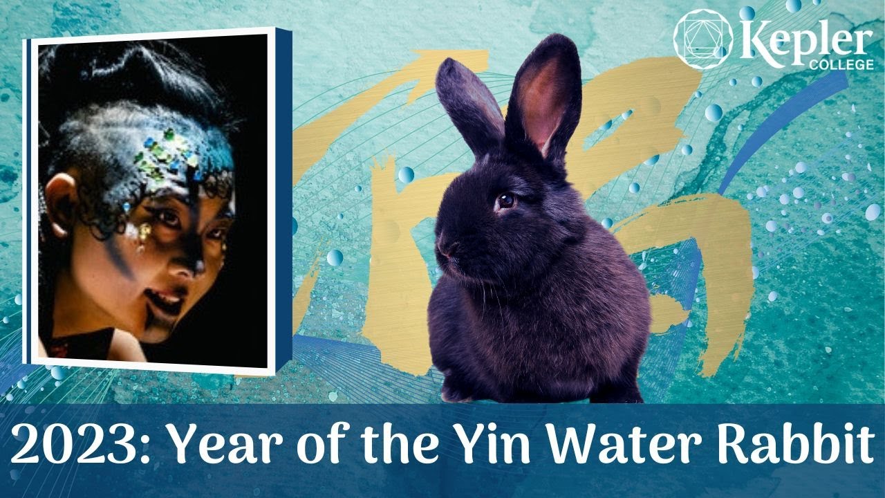 Year of the Yin Water Rabbit (extended version) - YouTube