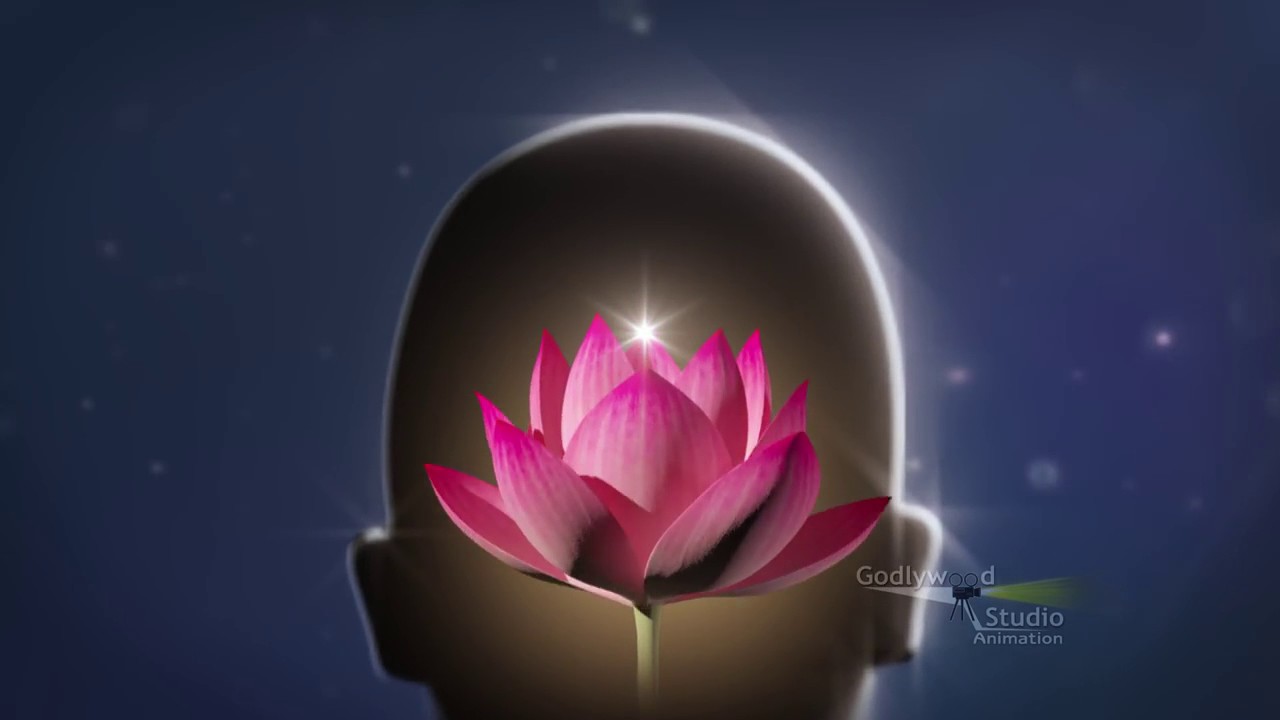 A Divine Introduction of Brahma kumaris Spiritual Organisation path ...