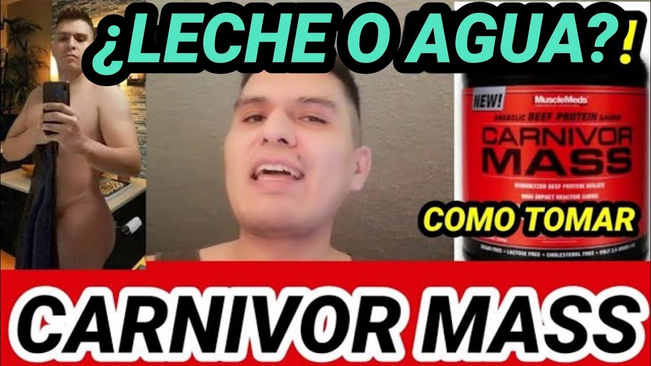 🔴CARNIVOR MASS CON LECHE O AGUA? 🔥CARNIVOR MASS COMO TOMAR😈 #carnivor 😁 ...