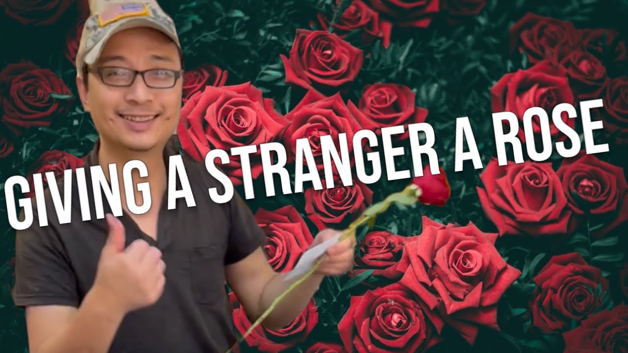 Giving A Random Stranger A Rose *EMOTIONAL* - YouTube
