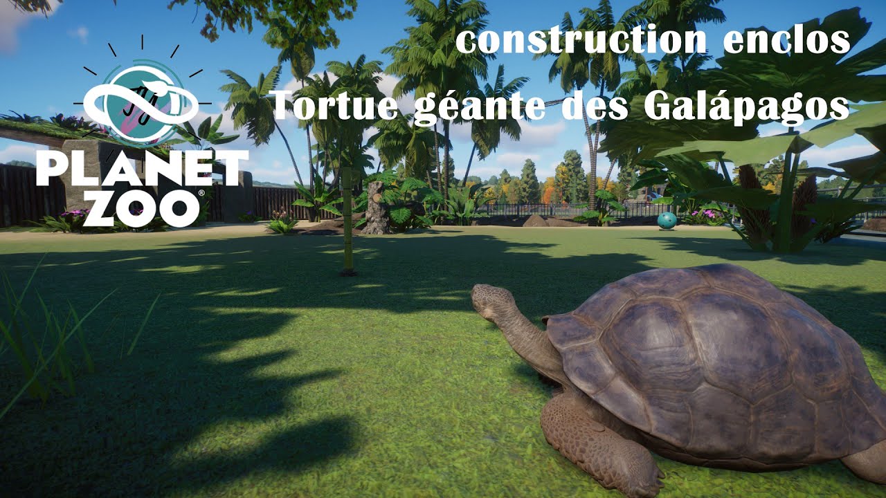 Planet Zoo: enclos Tortue géante des Galápagos/Galapagos Giant Tortoise ...