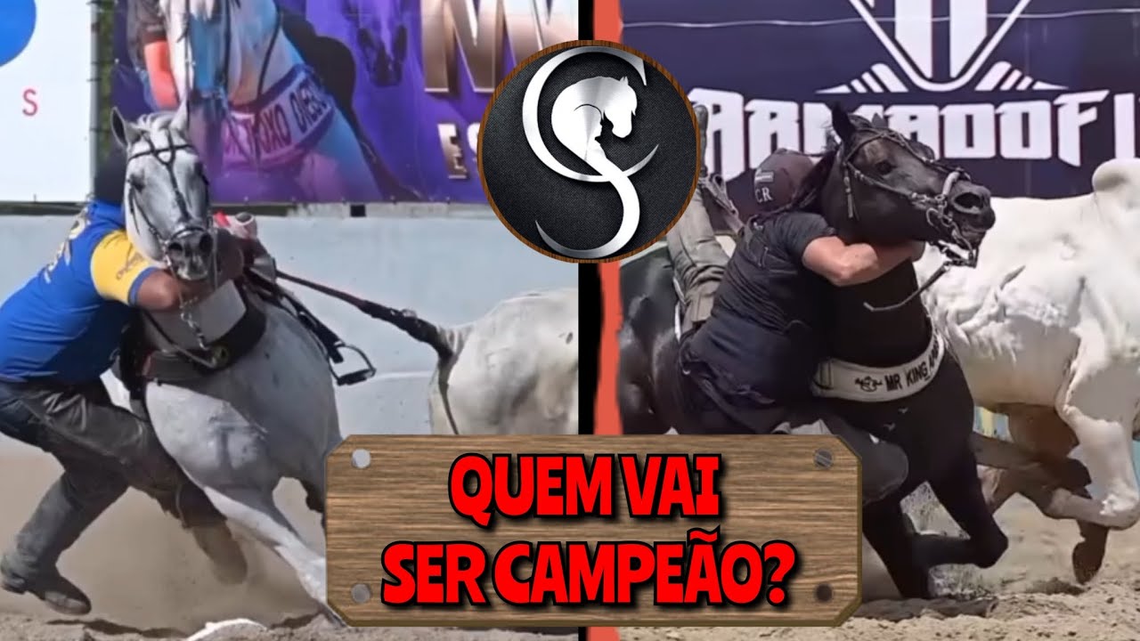 💥DUPLAS CLASSIFICADAS NA VAQUEJADA DO CS RANCH|Quem Vai ser o Campeão? - YouTube