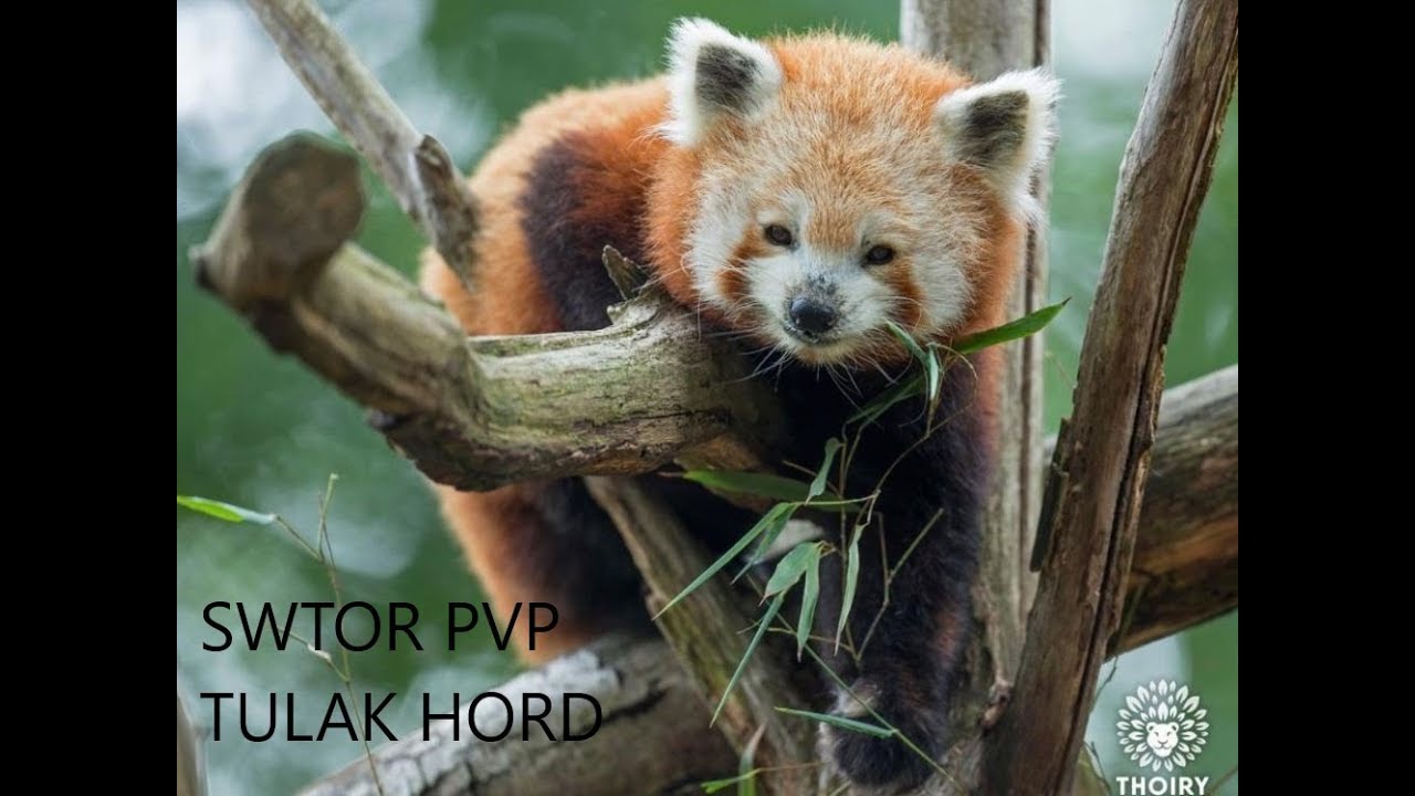 SWTOR PVP TULAK HORD 02 - YouTube