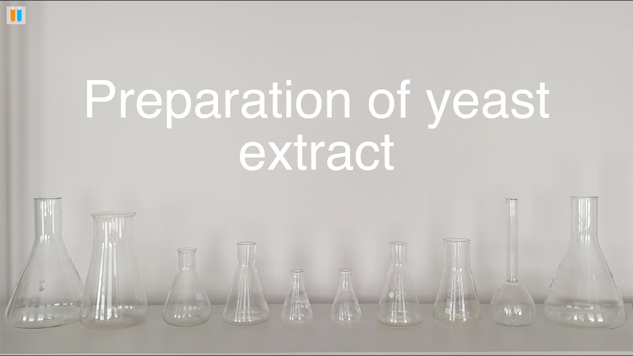 2.2 Preparation of yeast extract - YouTube
