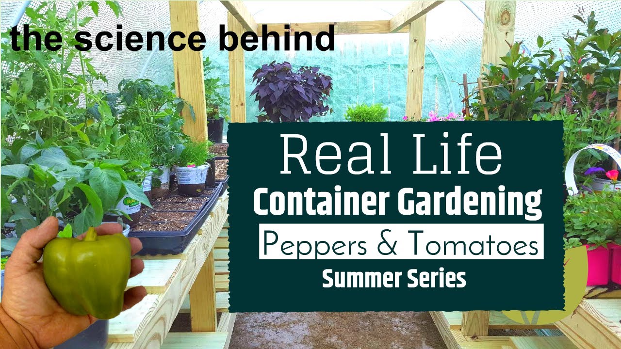 Real Life Container Gardening Science - YouTube