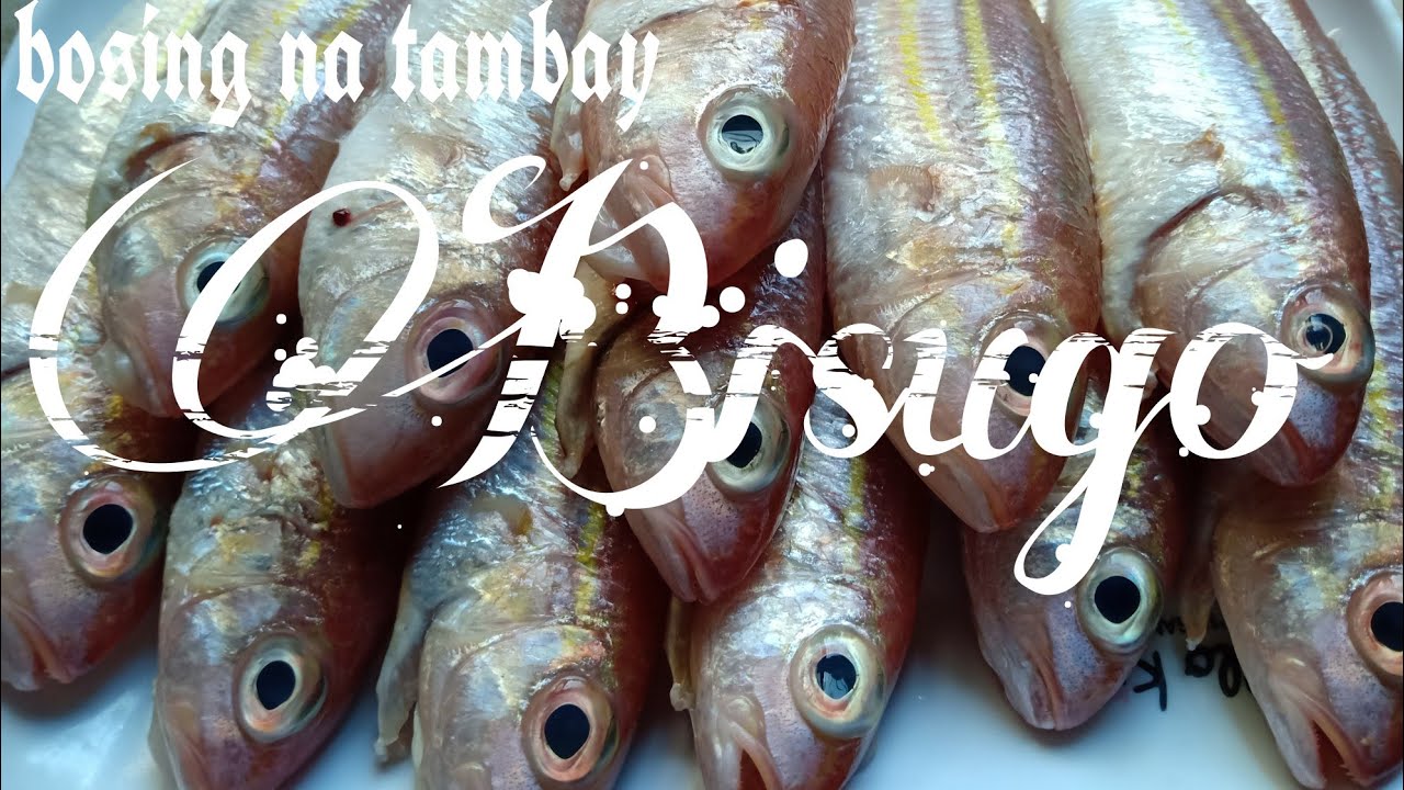 sinigang na bisugo / binayabasang bisugo / bosing version - YouTube