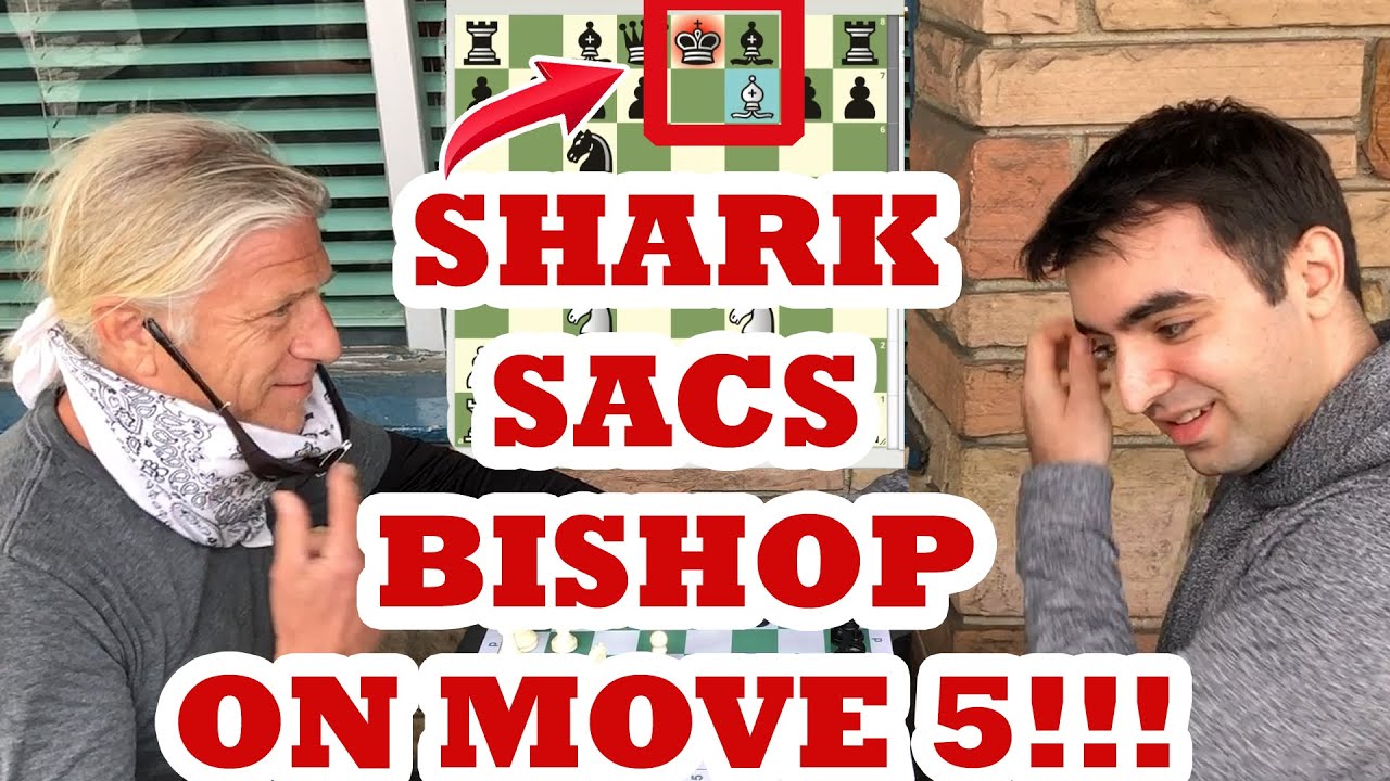 Chess Shark Sacs Bishop On MOVE 5 vs IM Eric Rosen! Jeff The Shark vs ...