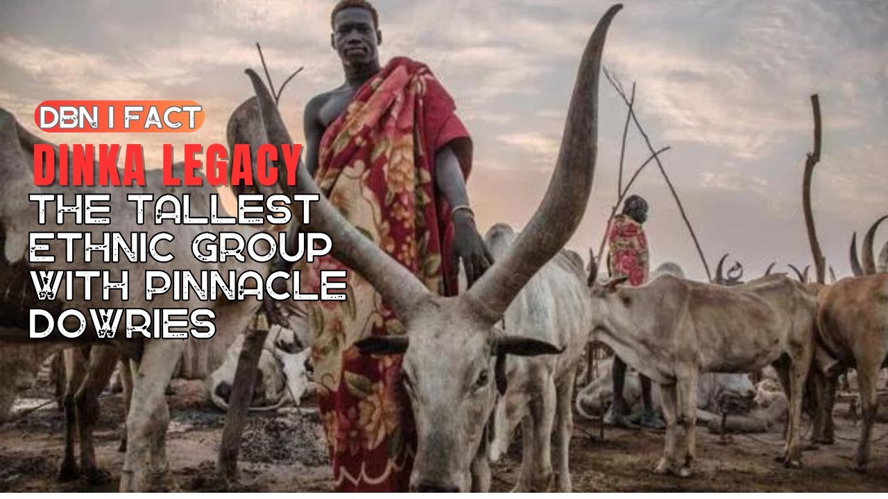 Tall and Treasured: Dinka Culture and the Art of Dowry - YouTube