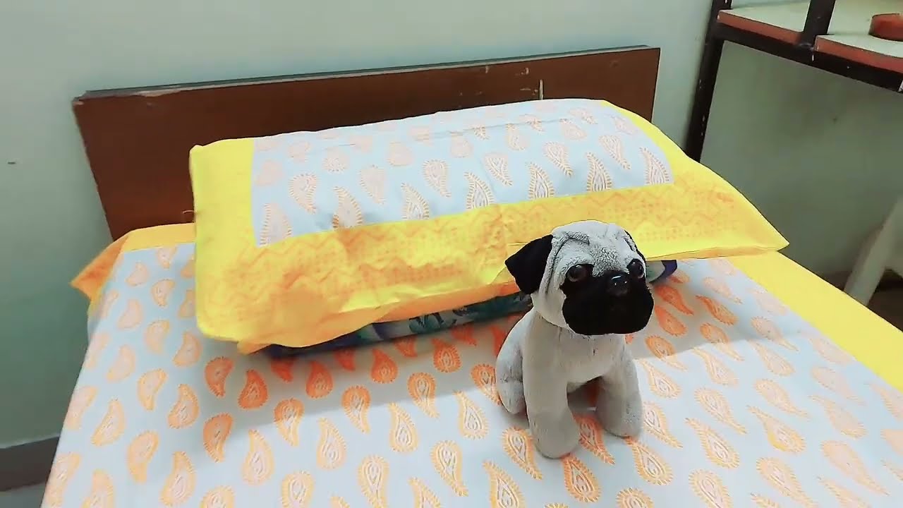 Lpu Girls Hostel Room Make Over Girls Hostel Room Tour Lovely