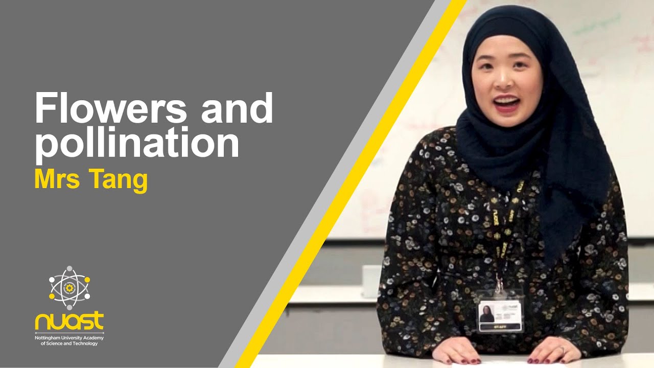 9.2.1 Flowers and pollination with Mrs Tang - YouTube