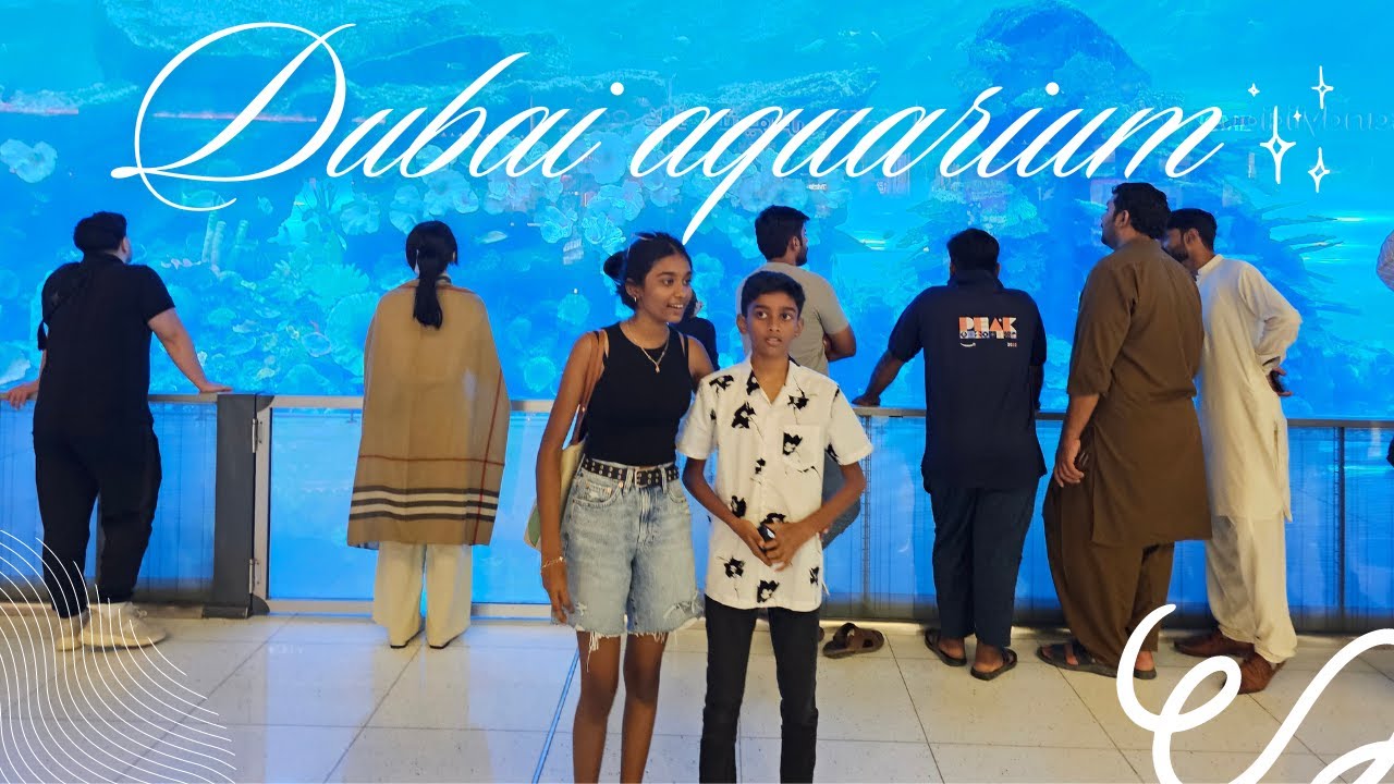 Exploring Dubai Mall Aquarium: A Mesmerizing Underwater Adventure ...