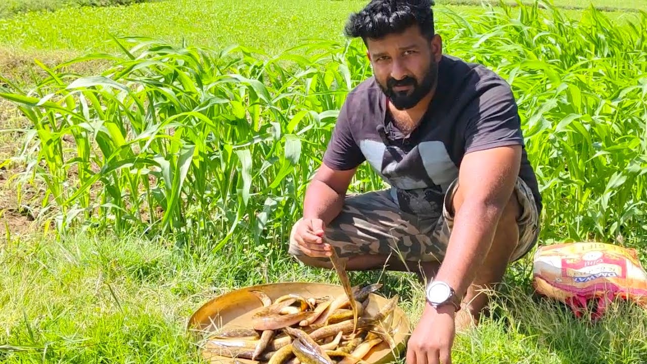 making ( baam ) fish curry || traditional style || with Village food ...