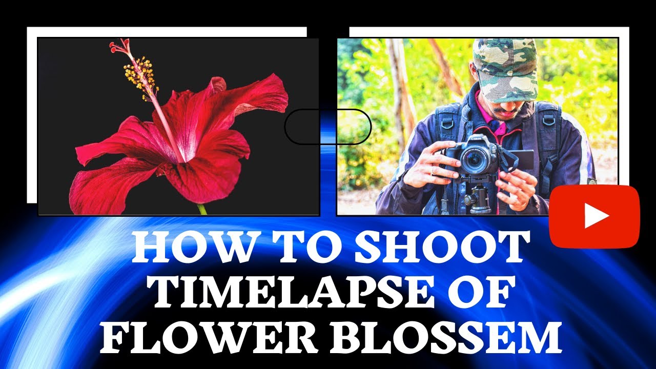 How to shoot flower blooming time-lapse video at home complete in depth ...