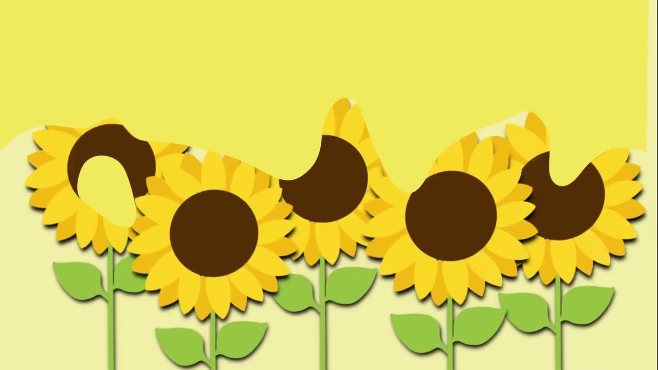 La psicología del color - Animación Motion Graphics - YouTube