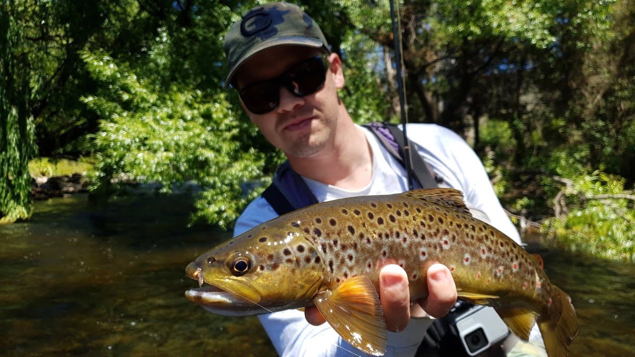 Tyenna River Tasmania! - YouTube