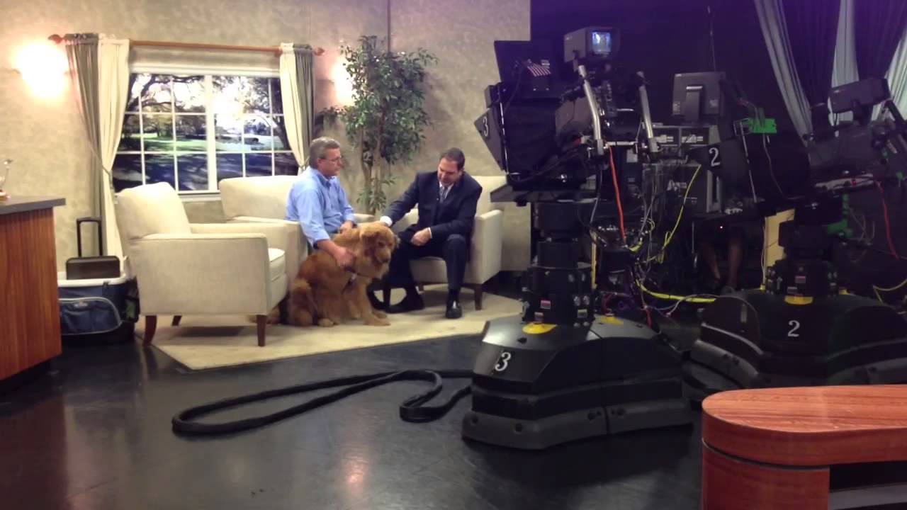 Finn on ABC 7 Suncoast - Segment - YouTube