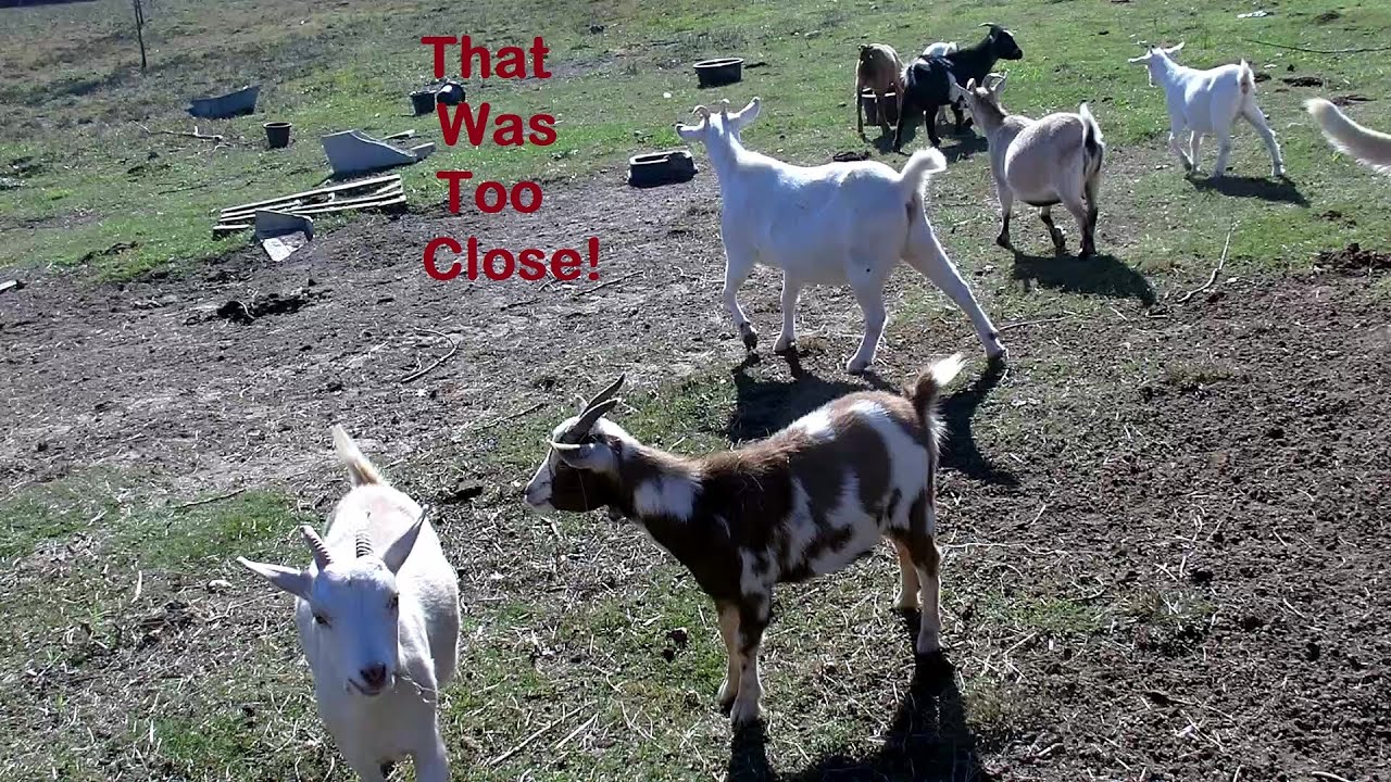 That was almost a disaster! - YouTube