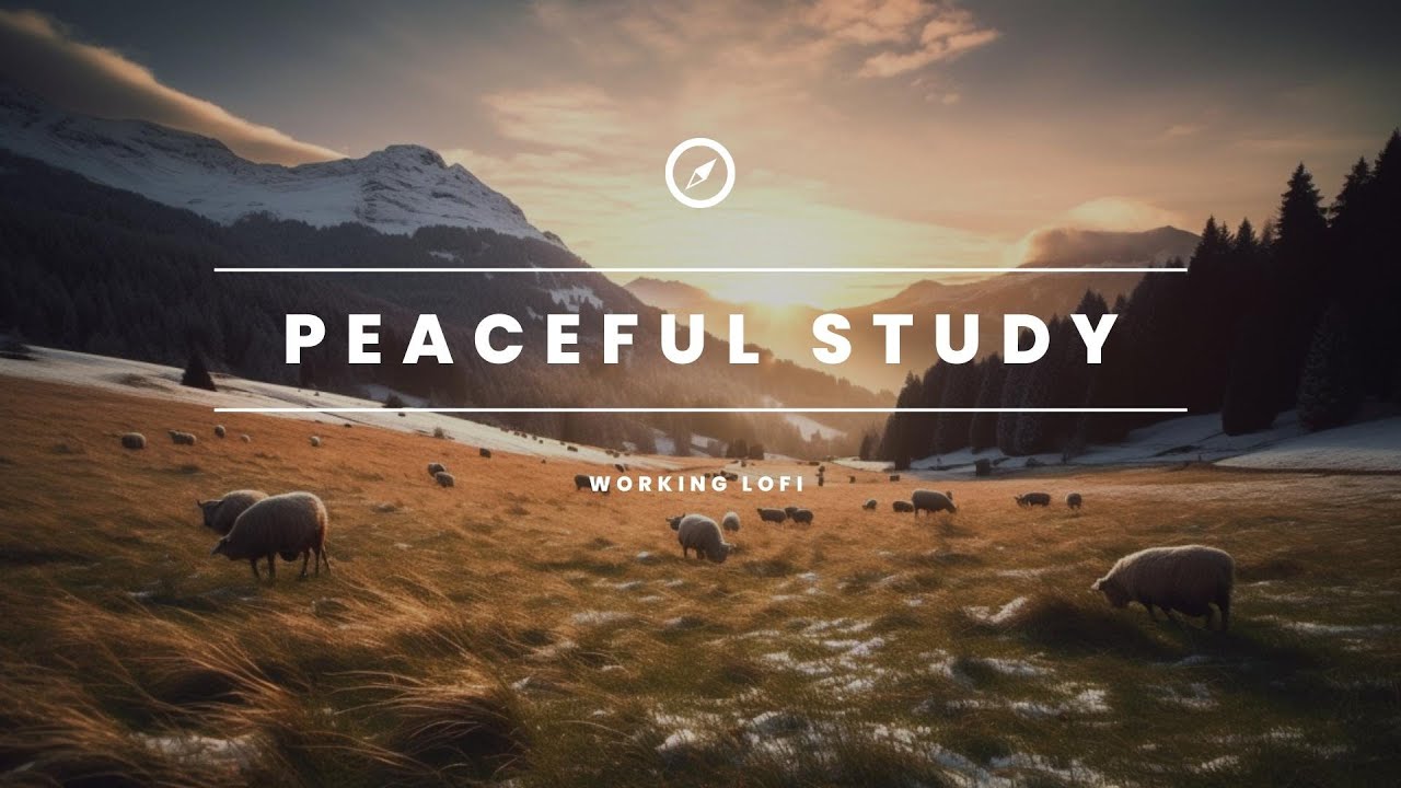 Peaceful Study Session 🌙: Relaxing Focus Lofi Sounds - YouTube