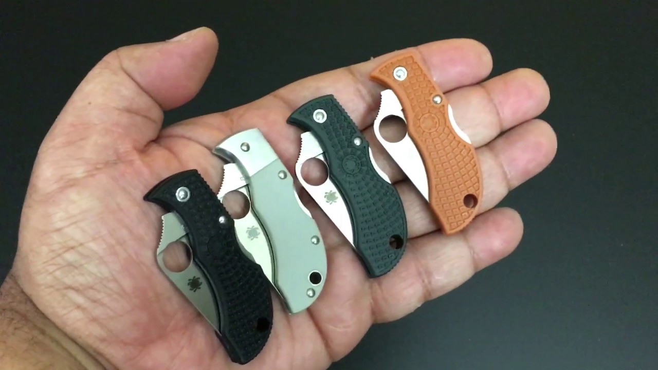 Spyderco ManBug! The Knife of the day! - YouTube