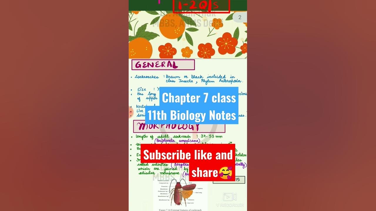 Class 11th Biology Chapter 7 Part B Notes viralvideo notes class-11th-biology-chapter-7-part-b-notes-viralvideo-notes