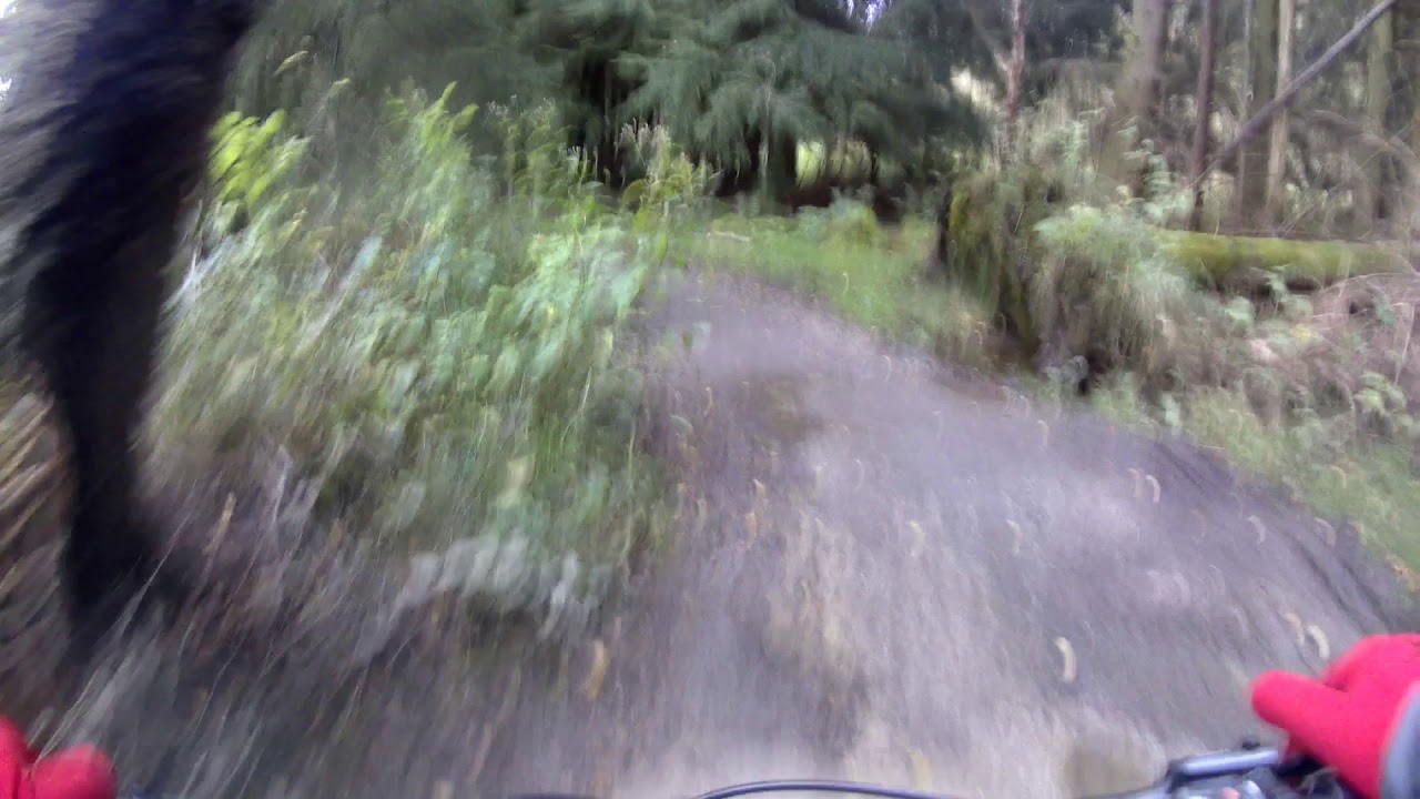 Gisburn Forest Blue trail. The full route give or take. - YouTube