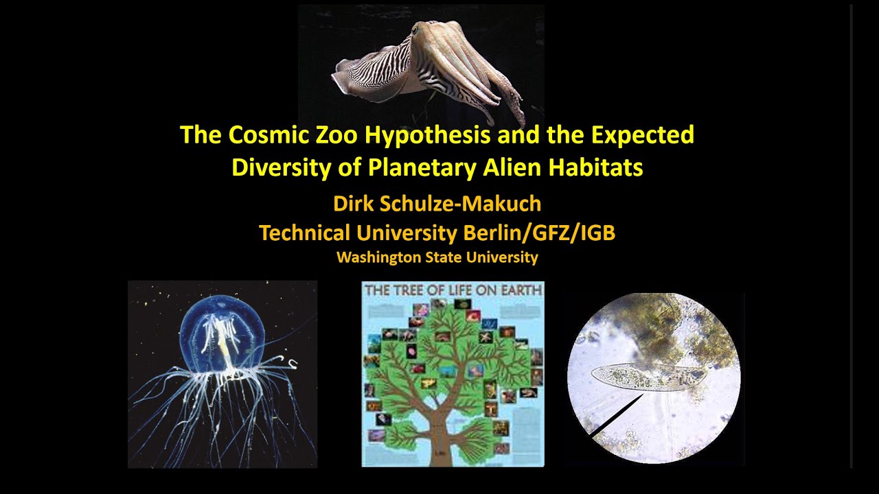 The Cosmic Zoo Hypothesis and the Expected Diversity of Planetary Alien ...